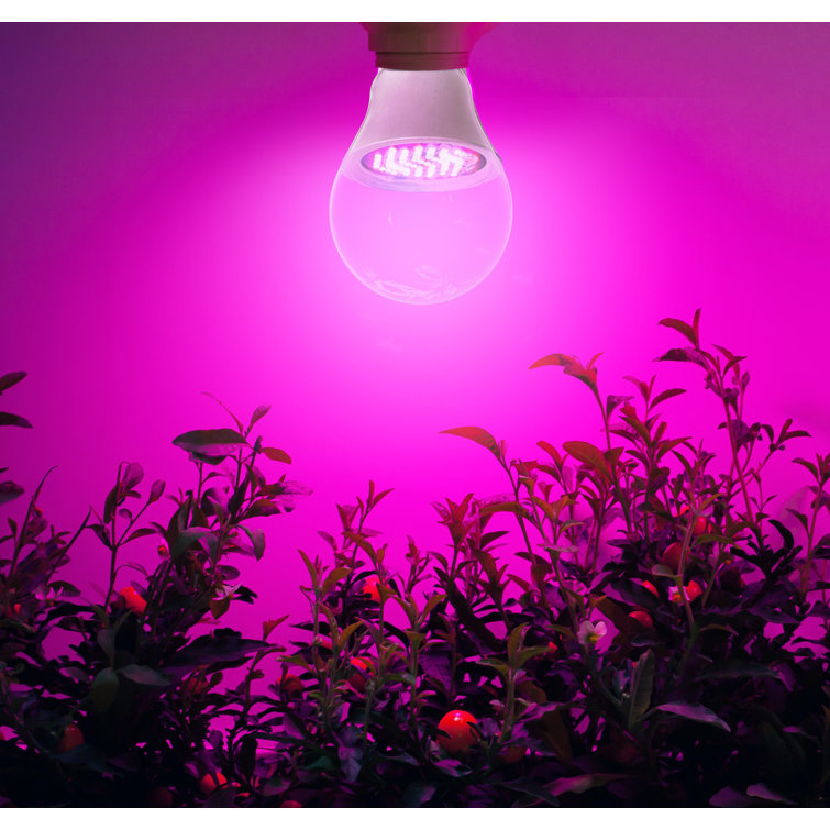 Touch of ECO Full Spectrum Led Grow Light Bulb For Indoor Plants ...
