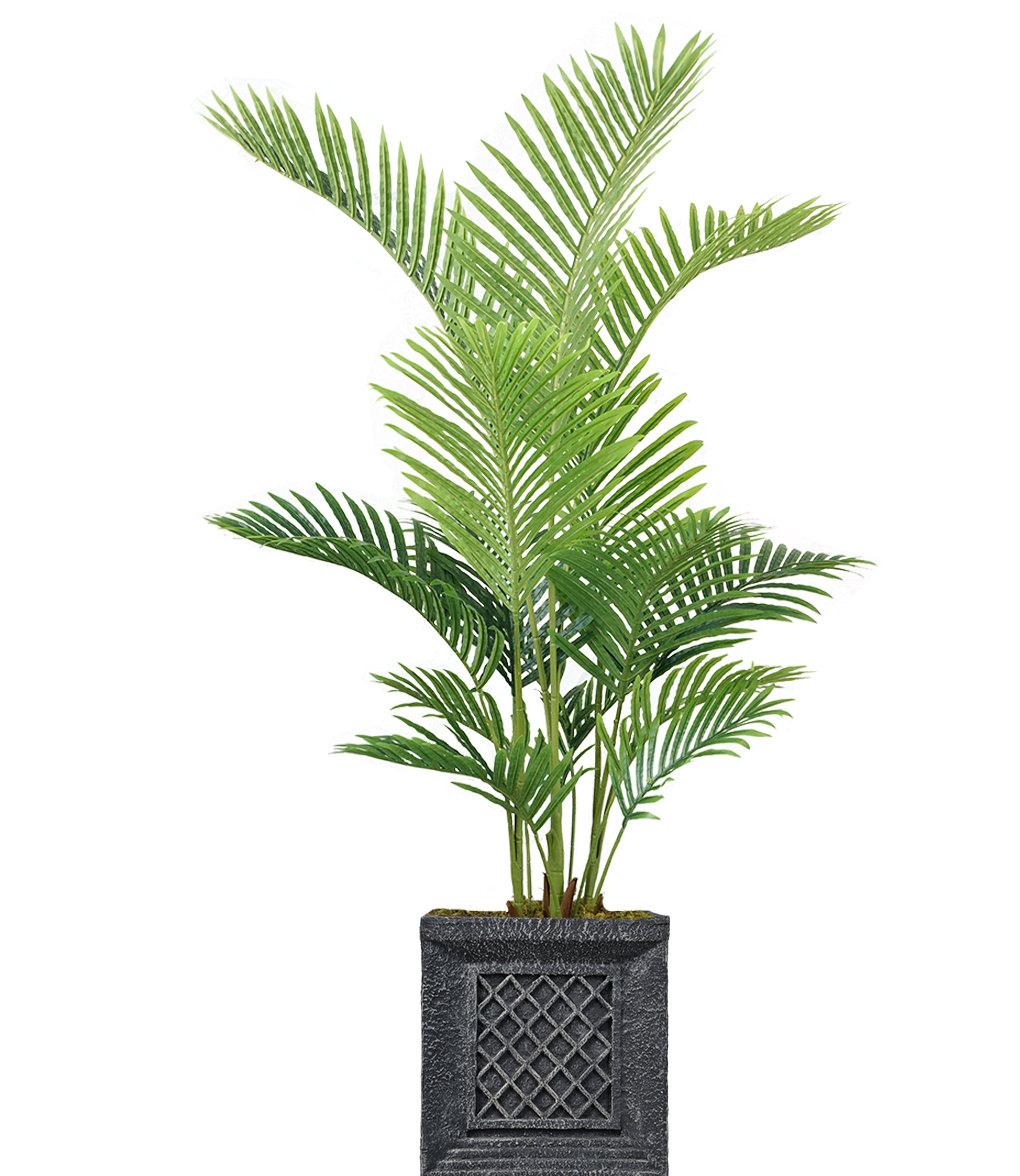 Bayou Breeze Palm Tree in Planter | Wayfair