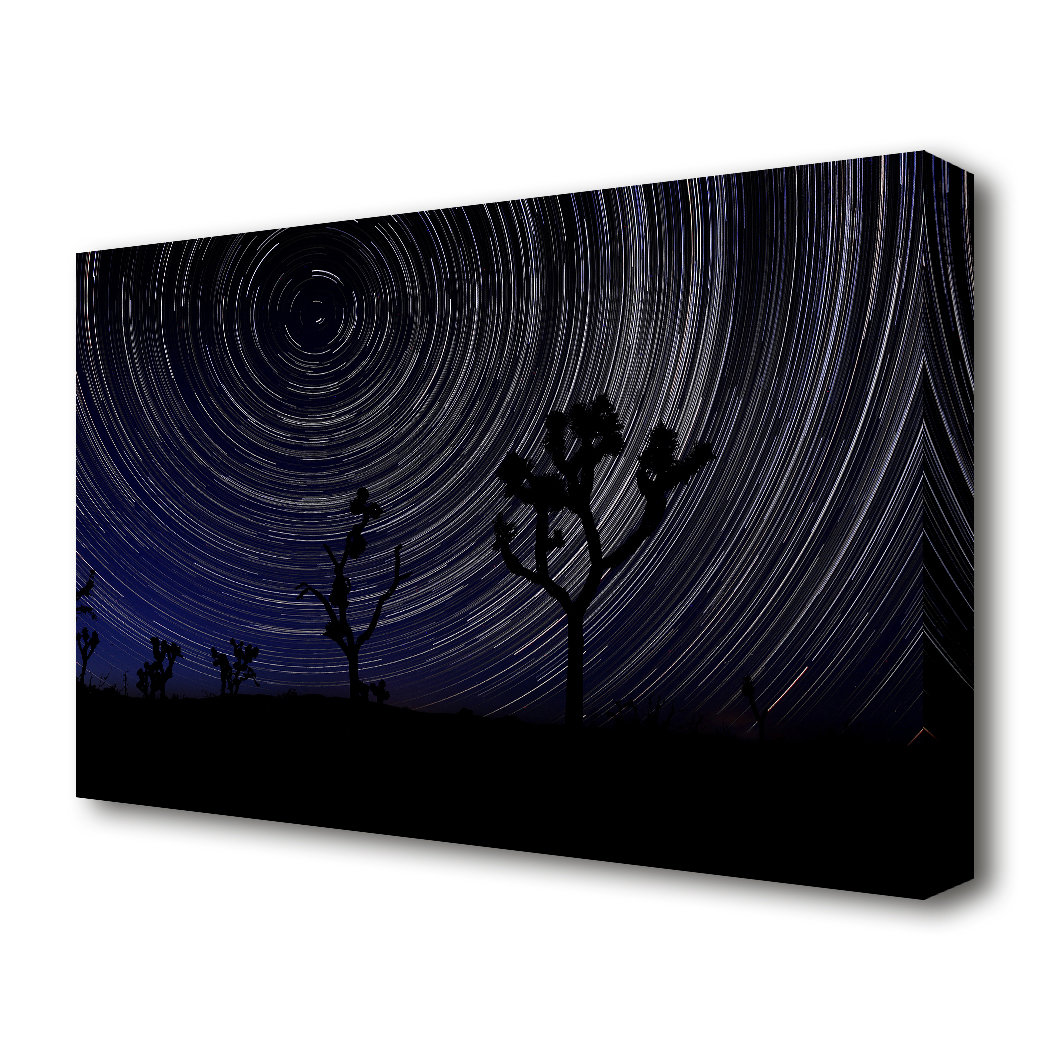 East Urban Home 'Vortex Trees 1 Landscape' Graphic Art Print on Canvas ...