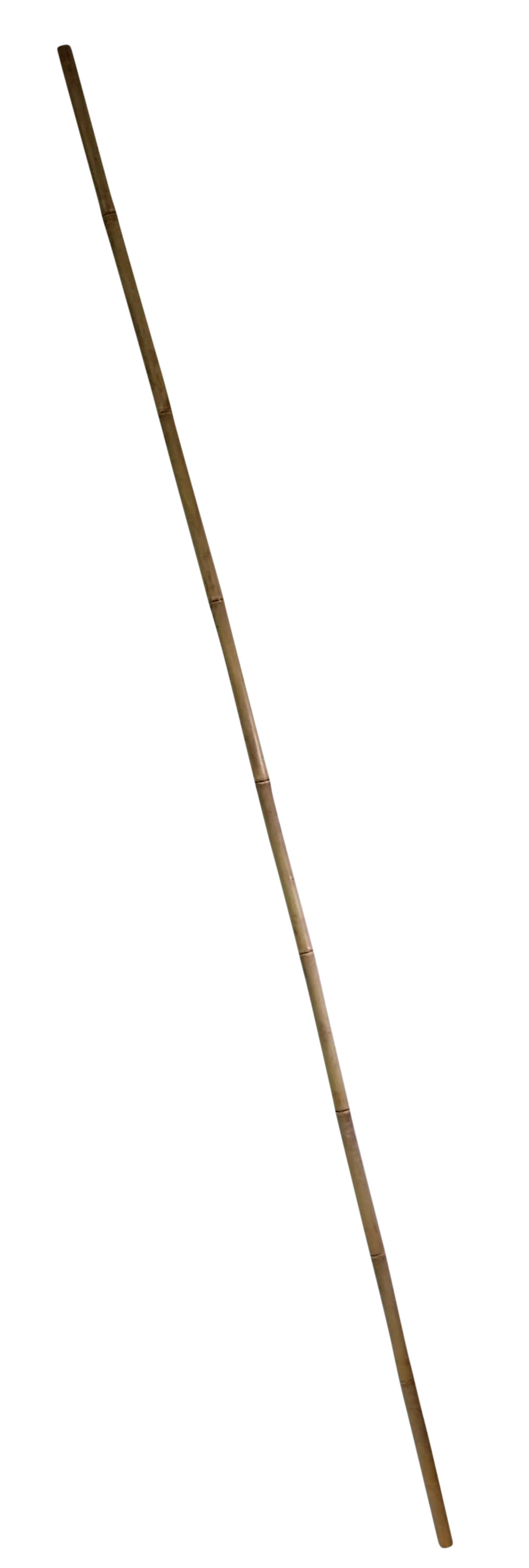 MGP Tonkin Bamboo Pole & Reviews | Wayfair