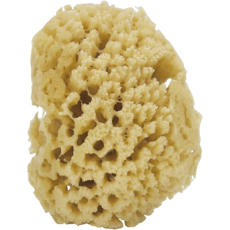 Highland Dunes Hamar Natural Sponge | Wayfair