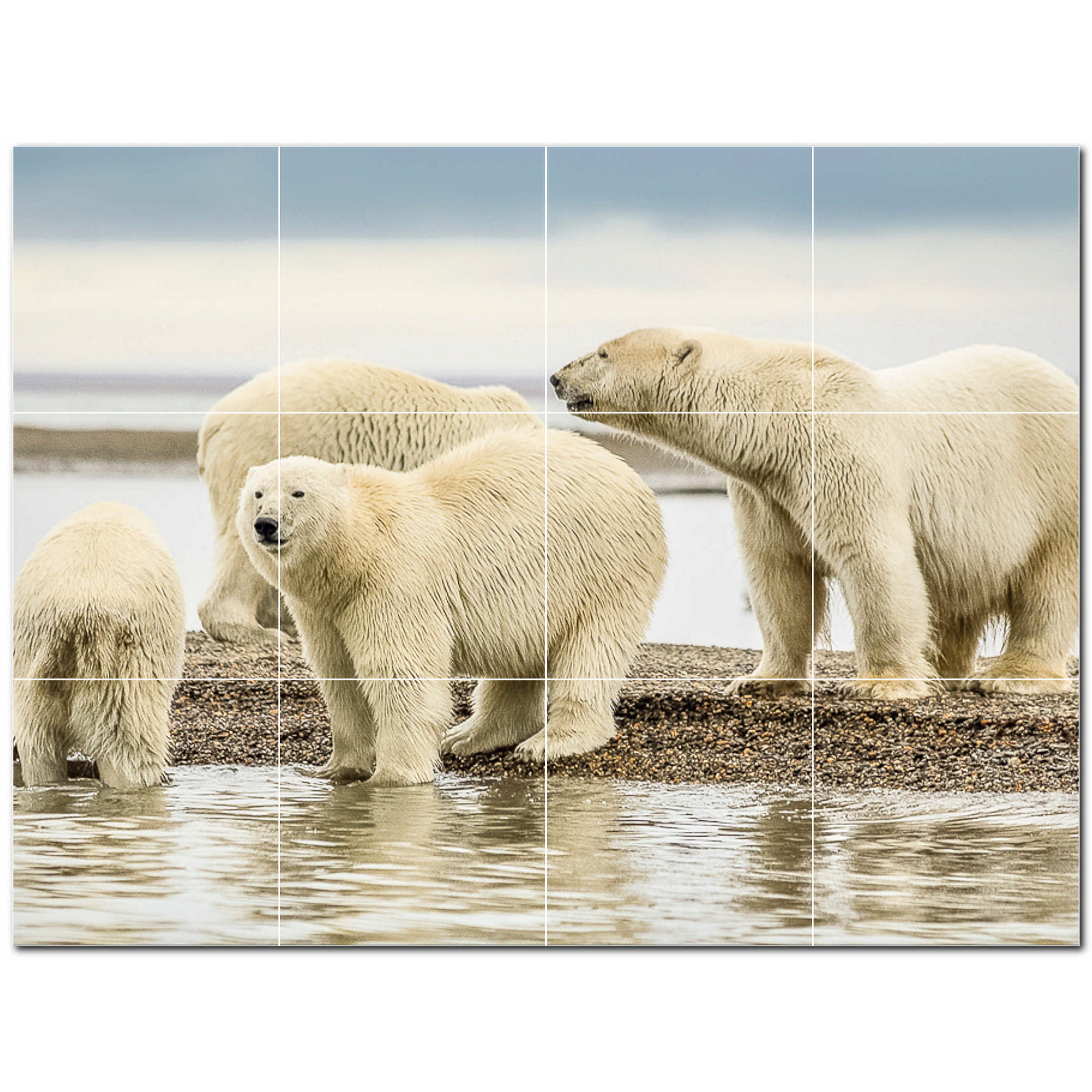 Picture-Tiles.com Bear Photo 6'' x 6'' Satin Ceramic Decorative Mural ...