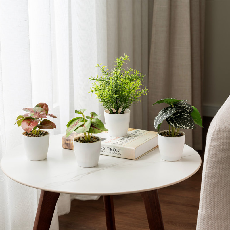 Primrue 4 Piece Fuax Fake Mini Foliage Artificial Plants White Pot ...