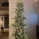 The Holiday Aisle® Johvan Deluxe Pre-Lit Slender Flocked Realistic Fir ...