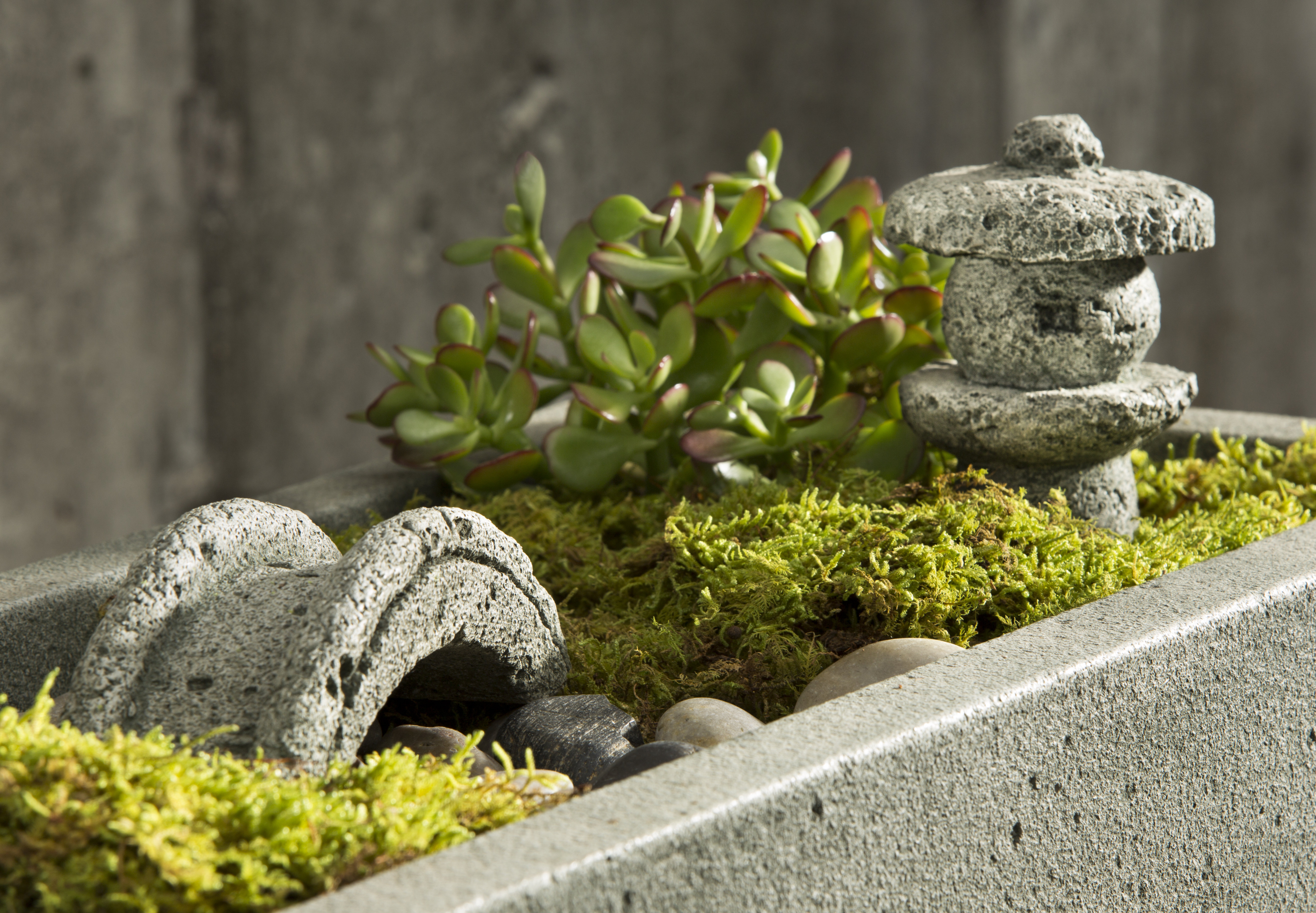 Campania International 2 Piece Tranquility Garden Statue Set & Reviews ...