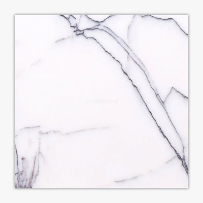 Direct Stone Source 12" x 12" Marble Look Wall & Floor Tile | Wayfair