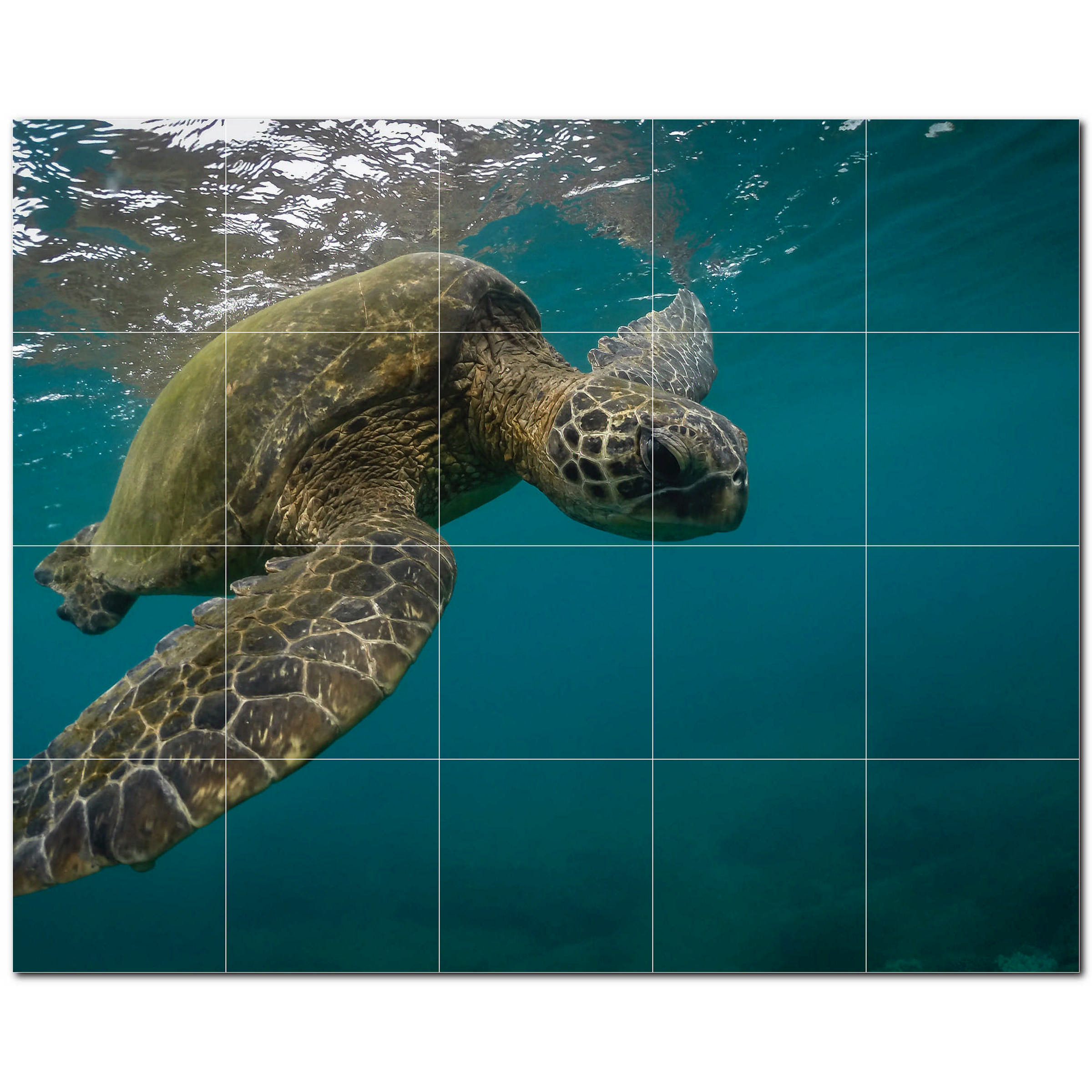 Picture-Tiles.com 12'' x 12'' Satin Ceramic Decorative Mural - Wayfair ...