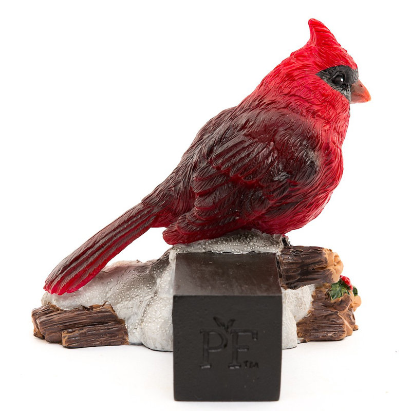 Jardinopia Red Cardinal Bird Coloured Planter Feet In Gift Box | Wayfair