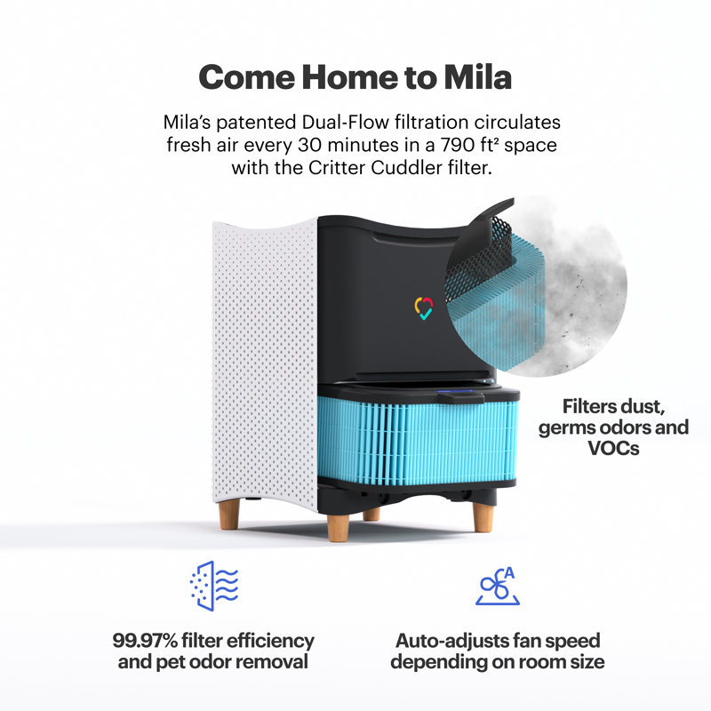 Mila Air Purifier with Overreactor Filter for Heavy Pollution & Reviews ...