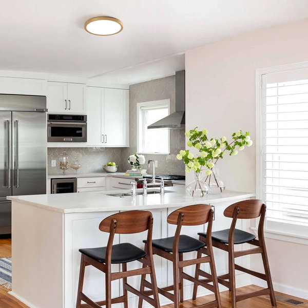 Latitude Run® Boncho LED Flush Mount & Reviews | Wayfair
