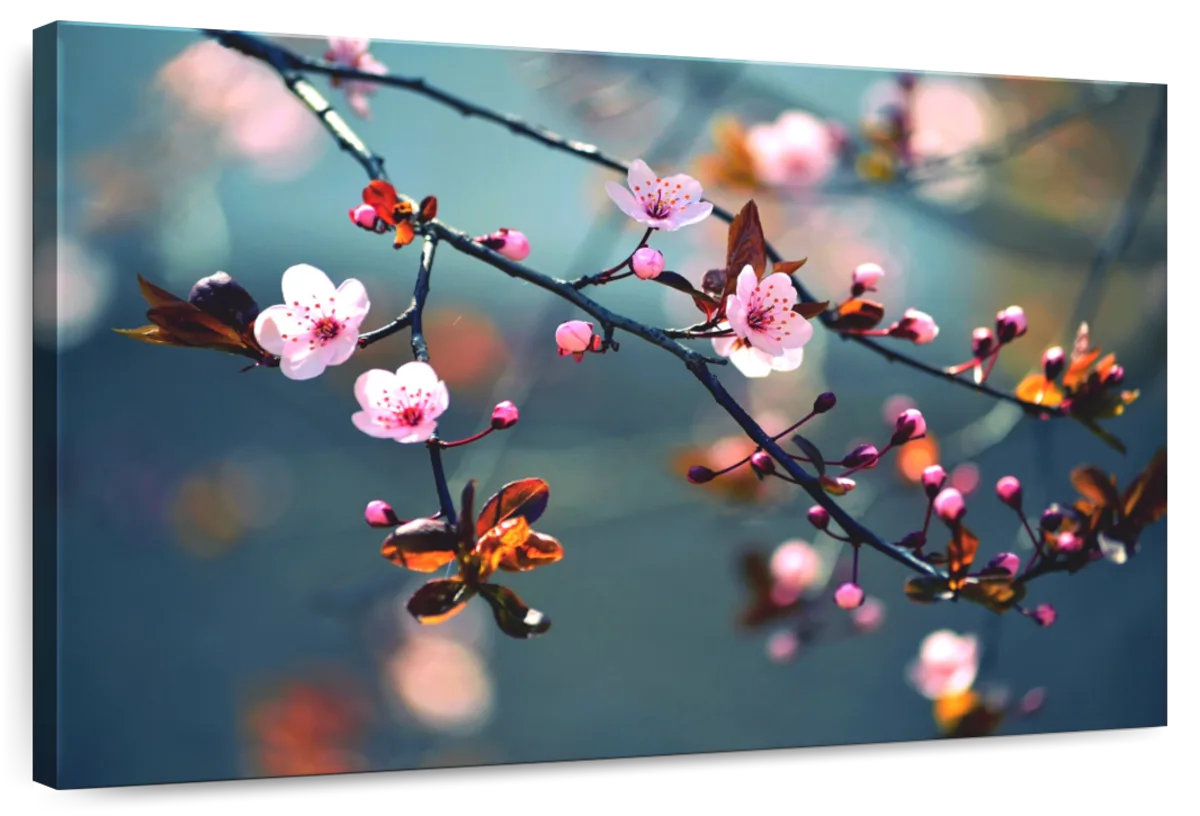 Lark Manor Harnek Flowering Japanese Sakura Tree - Wayfair Canada