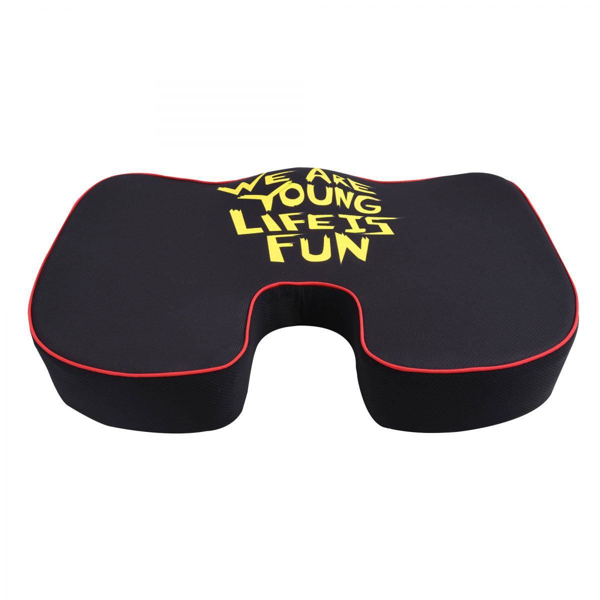 FH Group We Are Young Life Is Fun Seat Cushion with Memory Foam | Wayfair
