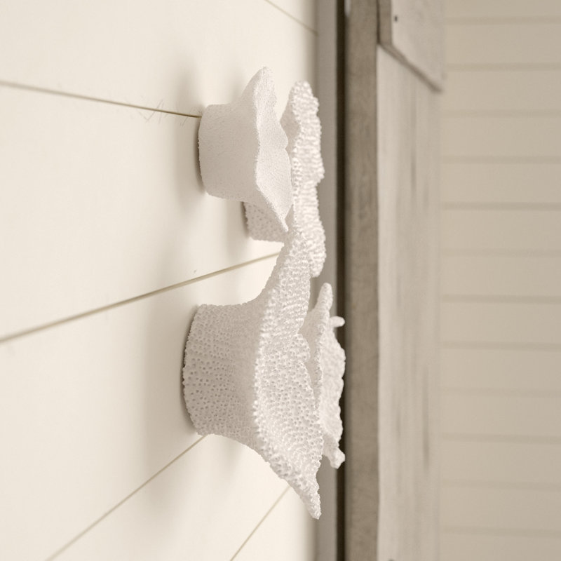 Lark Manor Resin/Plastic Wall Decor & Reviews | Wayfair