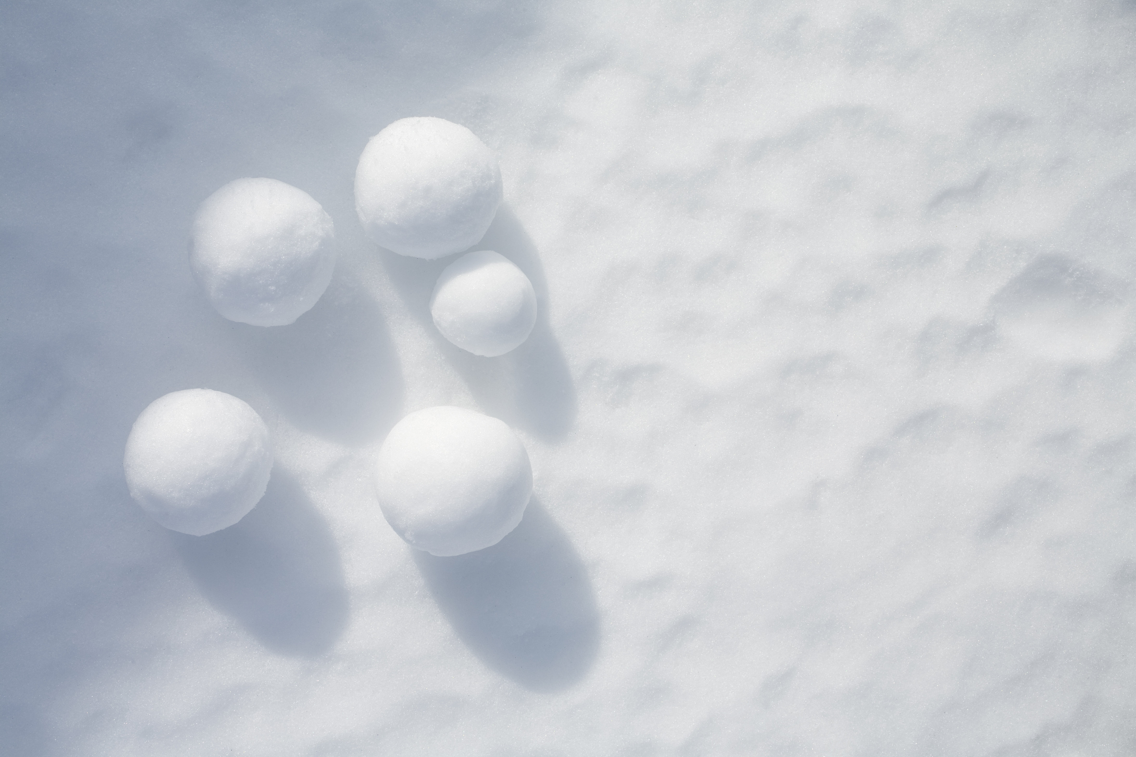 Ebern Designs Snowballs by Malerapaso | Wayfair