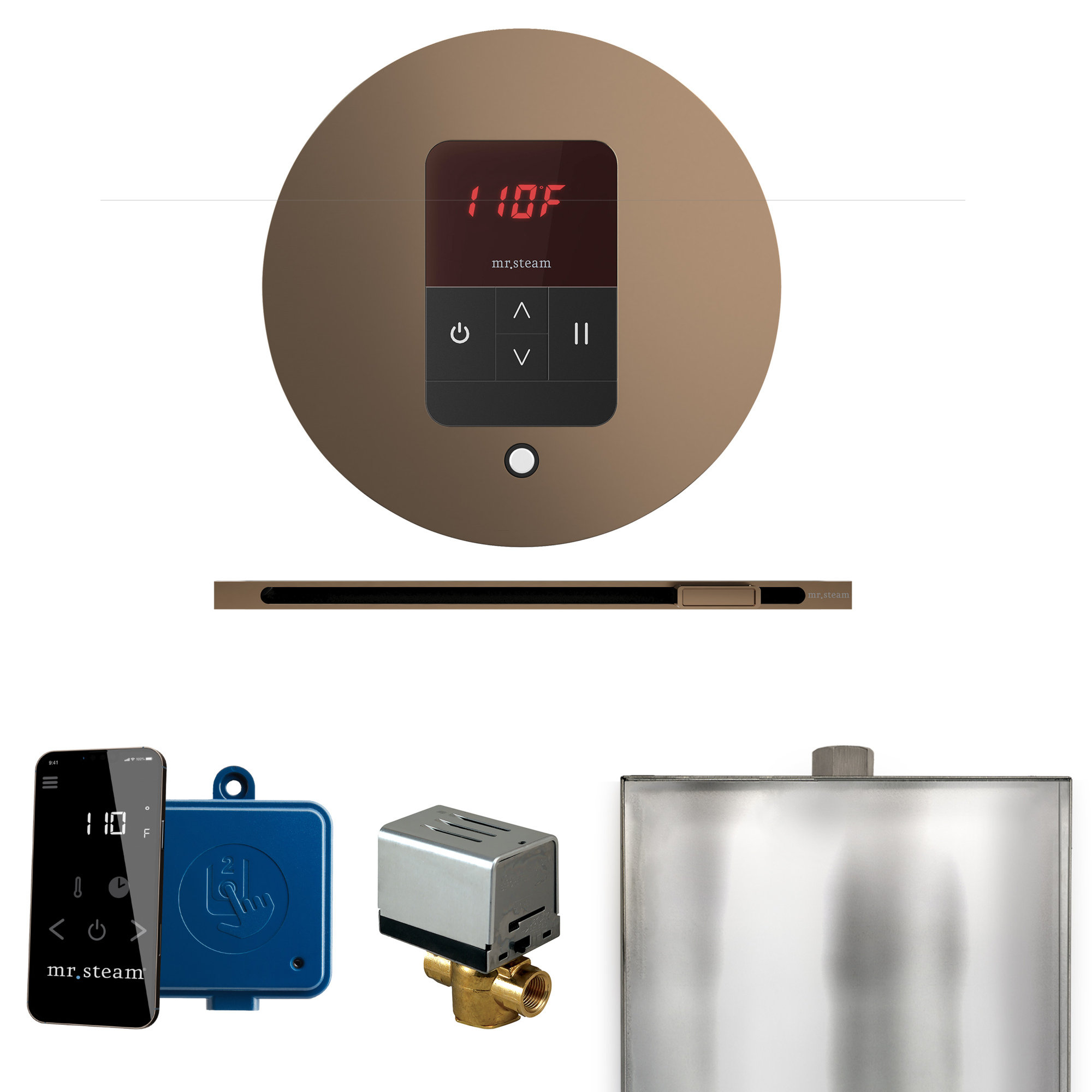 Mr. Steam Basic Butler Steam Shower Control Package with Round iTempo ...