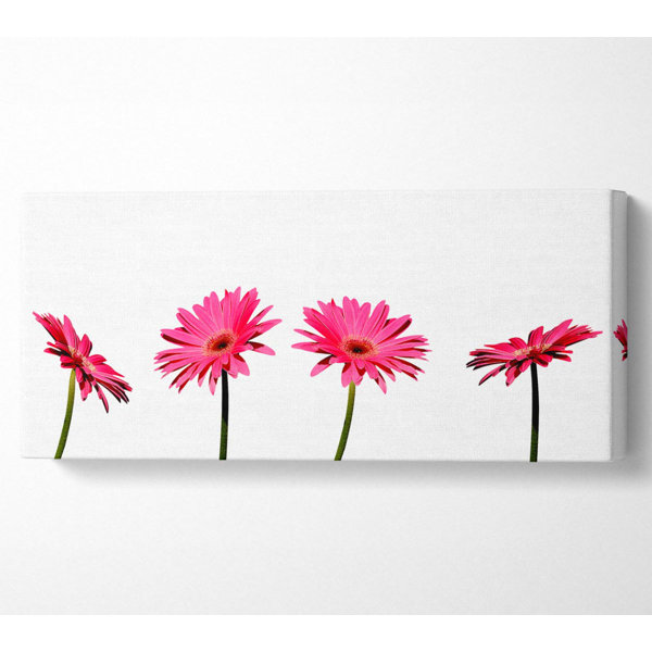Ebern Designs Pink Gerbera Quads - Wrapped Canvas Print | Wayfair.co.uk