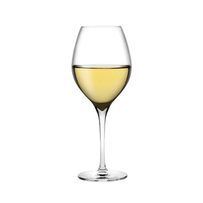 Vinifera Set Of 2 Lead-Free Crystal White Wine Glasses 360 Cc | AllModern
