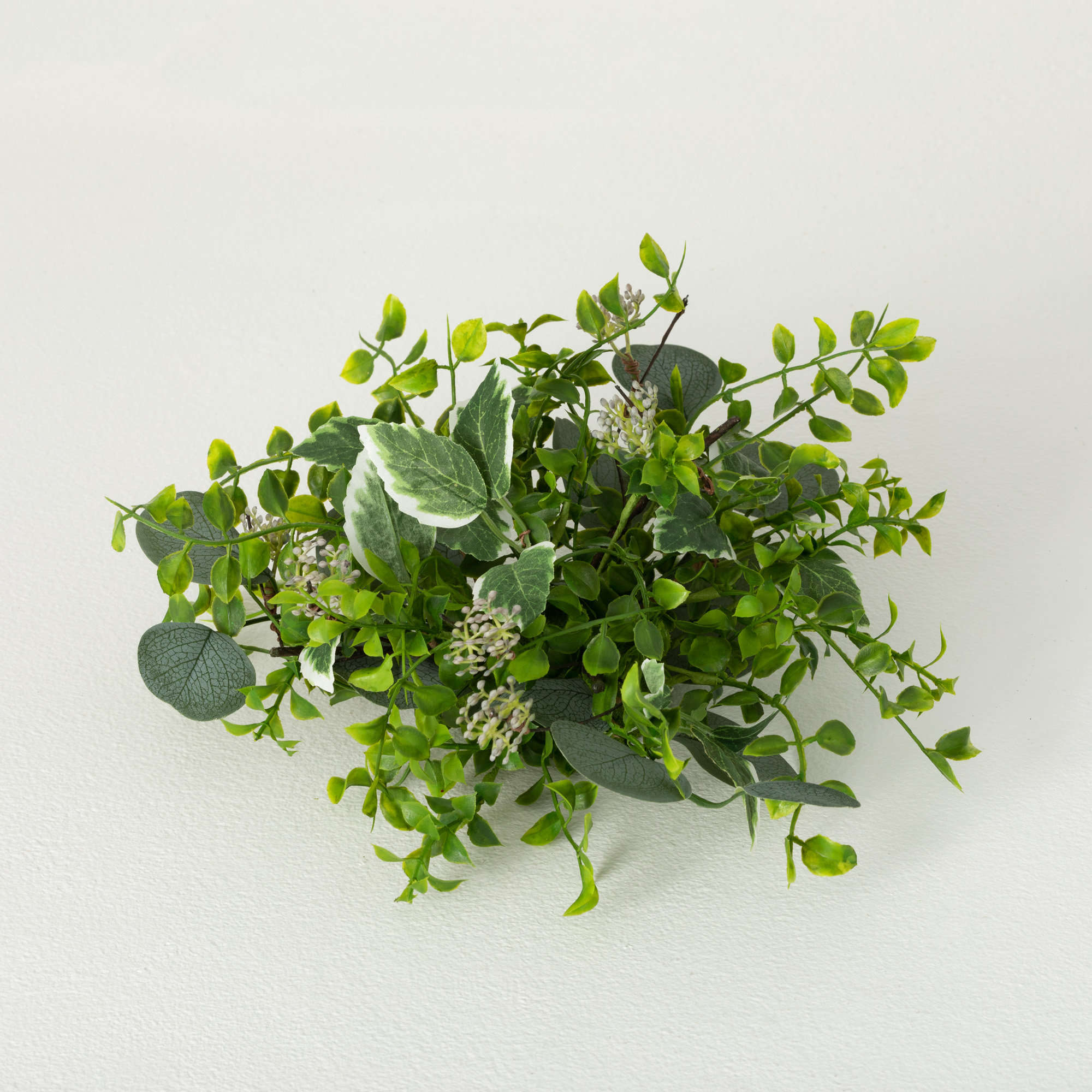 Primrue 6" Variegated Foliage Mix Orb; Green | Wayfair