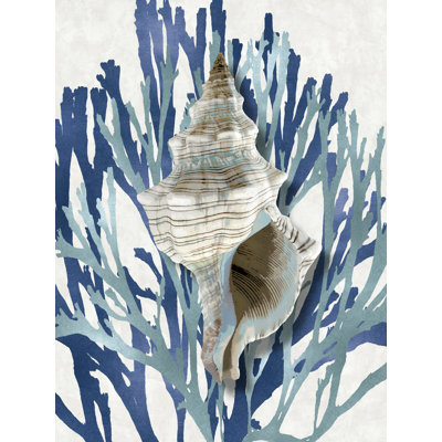 Highland Dunes Shell Coral Aqua Blue I by Caroline Kelly - Wrapped ...