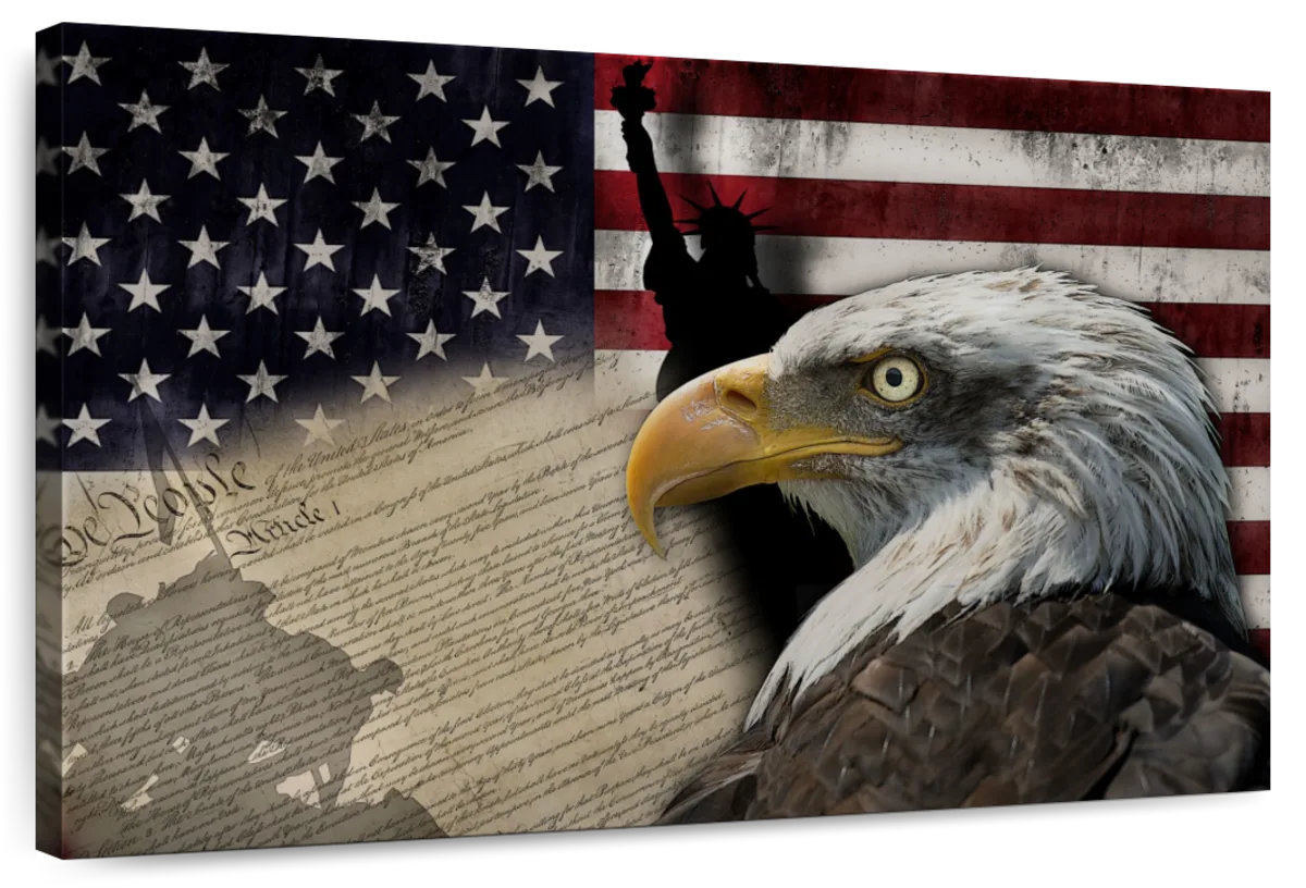 Ebern Designs Borges American Symbols - Wayfair Canada