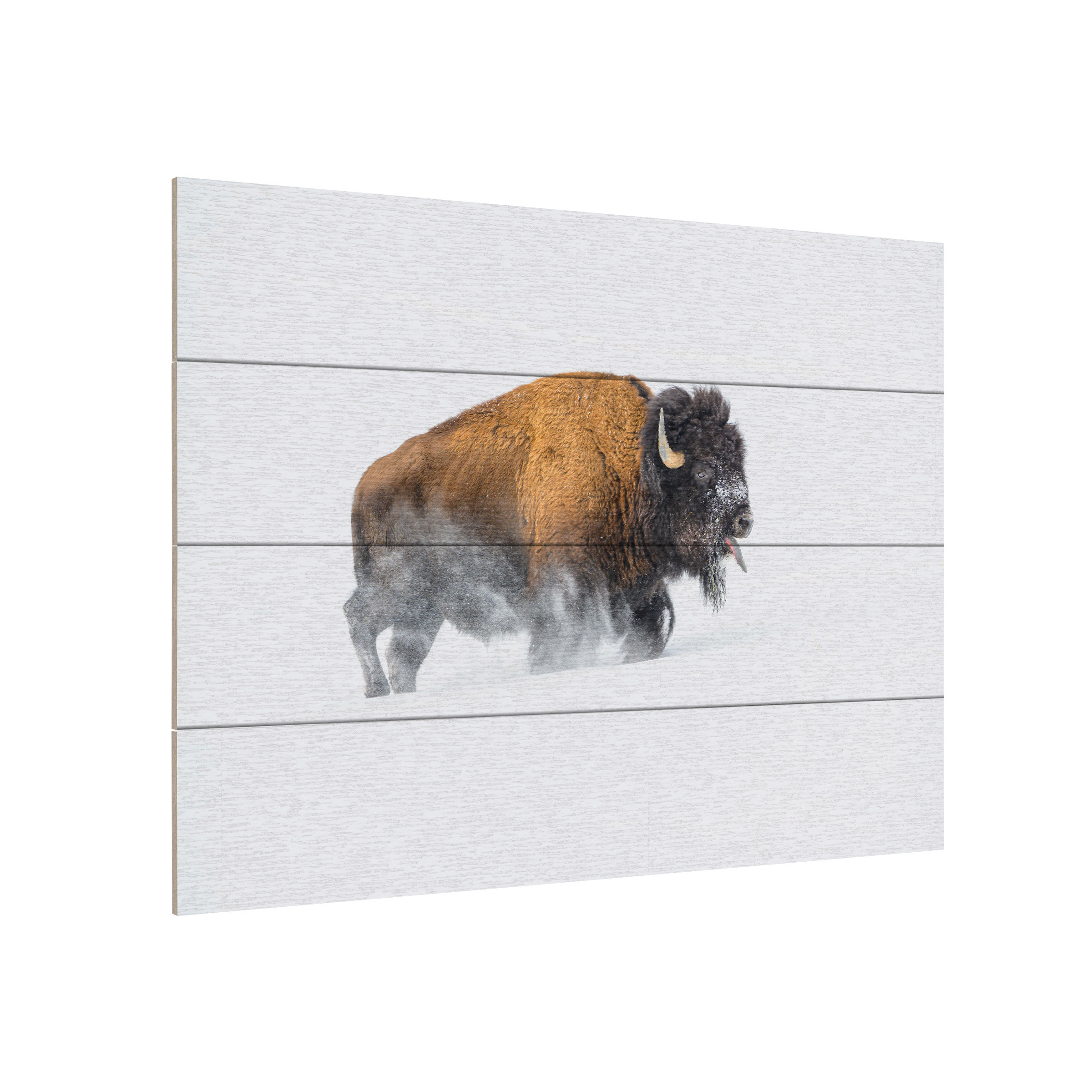 Trademark Fine Art Debbie Hunt 'Bison In The Snow' Wood Slat Art | Wayfair