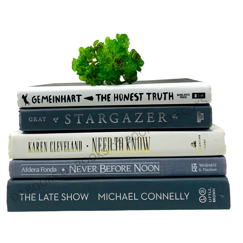 Latitude Run® Matroana Gray White Decorative Books & Reviews | Wayfair