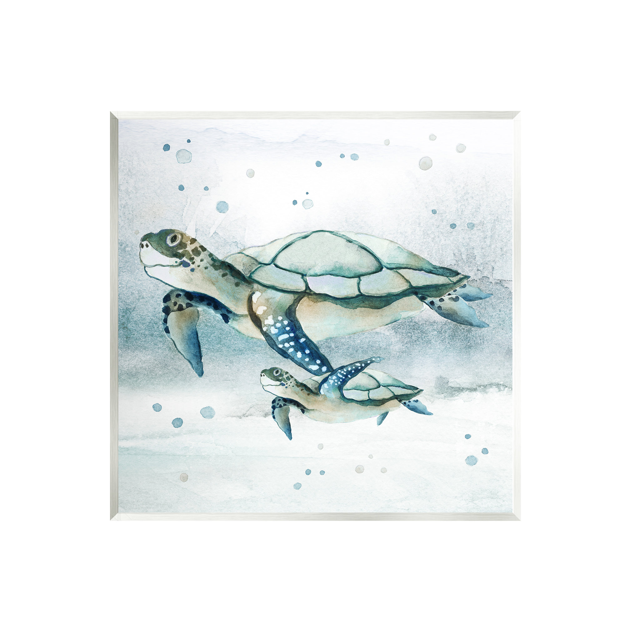 Stupell Industries Baby Sea Turtle Bubbles by Janet Tava Print | Wayfair