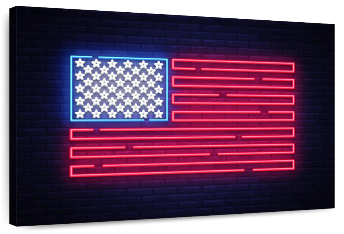 Ebern Designs Borges USA Flag Neon Sign | Wayfair