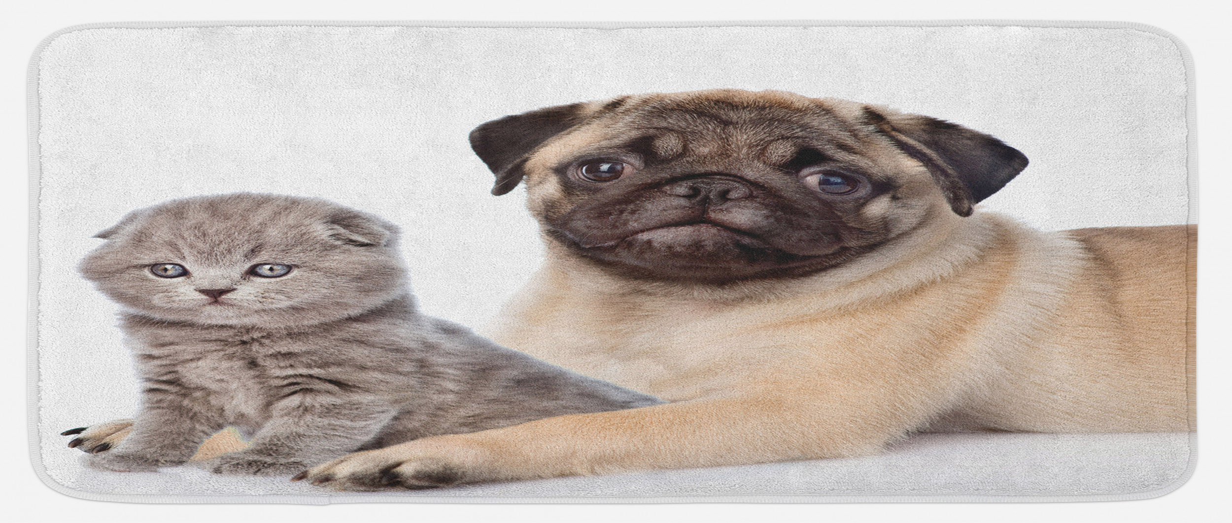 East Urban Home Young Pets Kitten And Puppy Pug Scottish Fold Animal ...