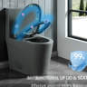 xingguangya One Piece Grey Toilet, Function, Elongated Comfort, 1000 ...