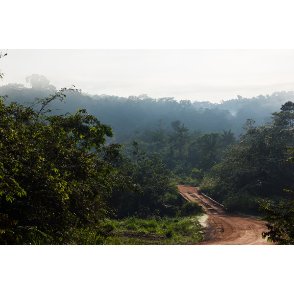 Loon Peak® Aerie Trans-Amazonian Highway On Canvas by Pedarilhos ...