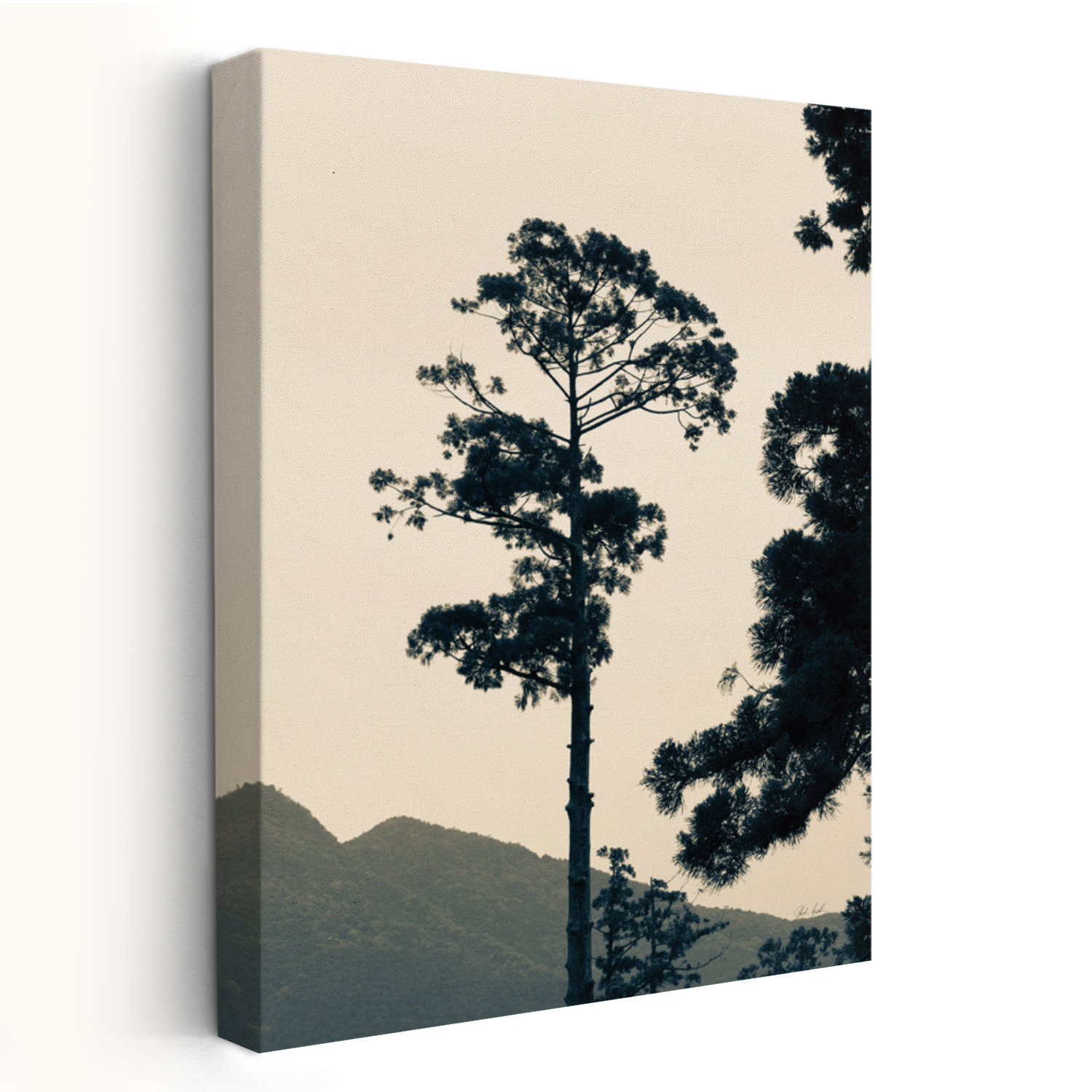 Latitude Run® Lone Tree Japan Contemporary Landscape Japanese Japanese ...