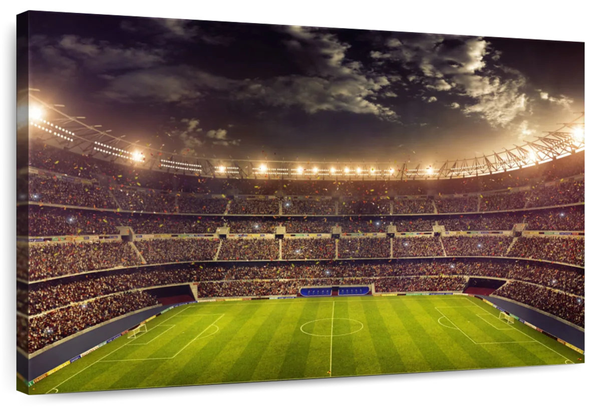 Ebern Designs Sireci Soccer Arena At Sunset - Wayfair Canada