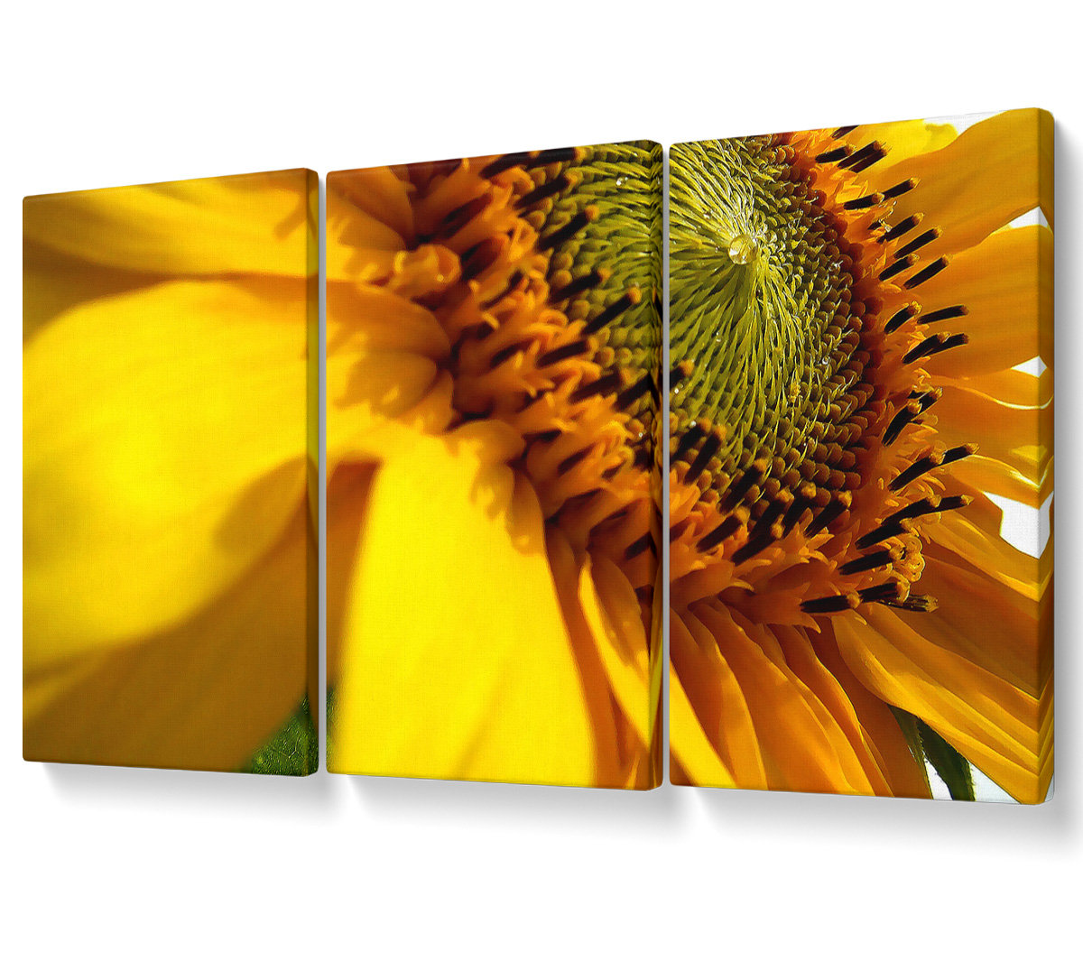 August Grove Sunflower Side - 3 Piece Wrapped Canvas Graphic Art ...