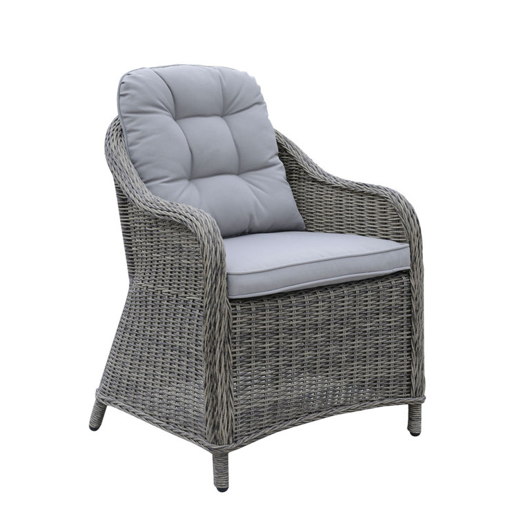 One Allium Way® 2 Piece Patio Arm Chair In Aluminum Wicker Frame and ...