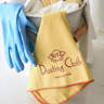 RITZ Duvateen Dusting Cloths | Wayfair
