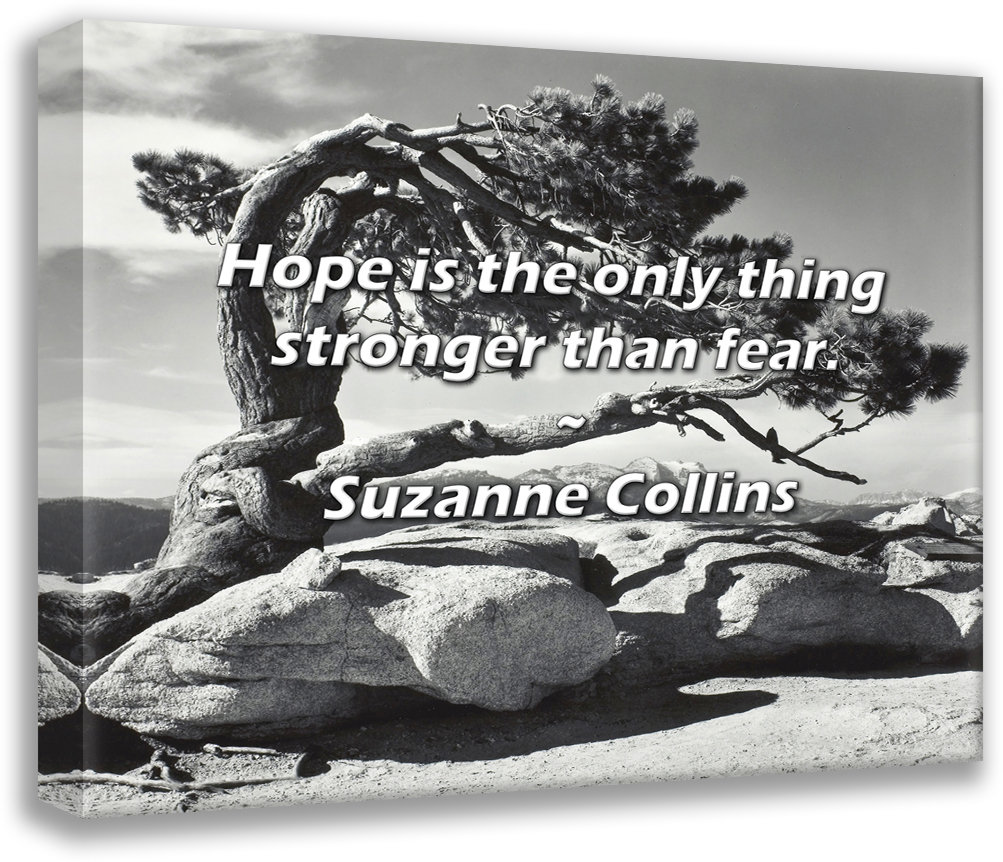 Astoria Grand Artsy Quote "Hope is the only thing stronger than fear ...