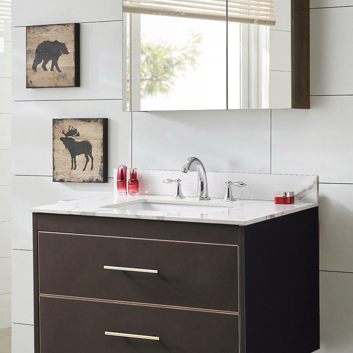 Modern Luxe Furniture Single Vanity Top with Sink Faucet Holes | Wayfair