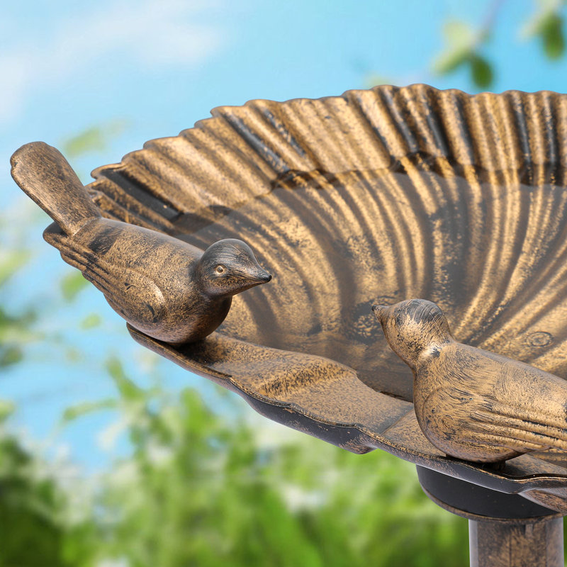 Charlton Home® Outdoor Bird Bath Fountain, Bird Bath Bowl with Solar ...