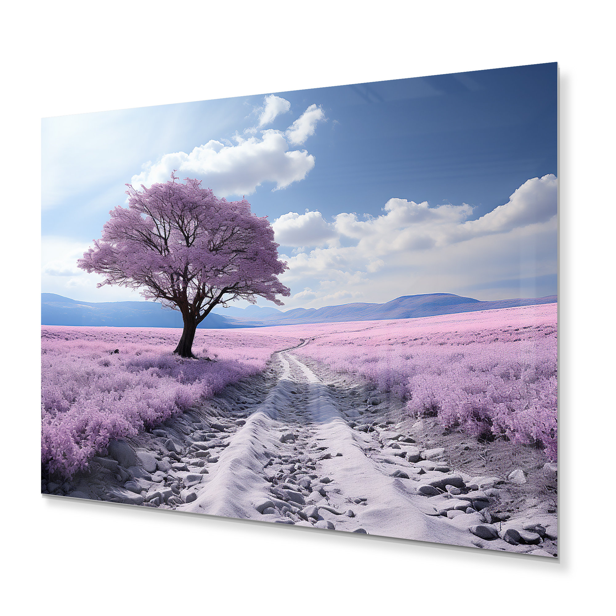 Ophelia & Co. Flower Field Ethereal Lavender II - Lavender Fields Print ...