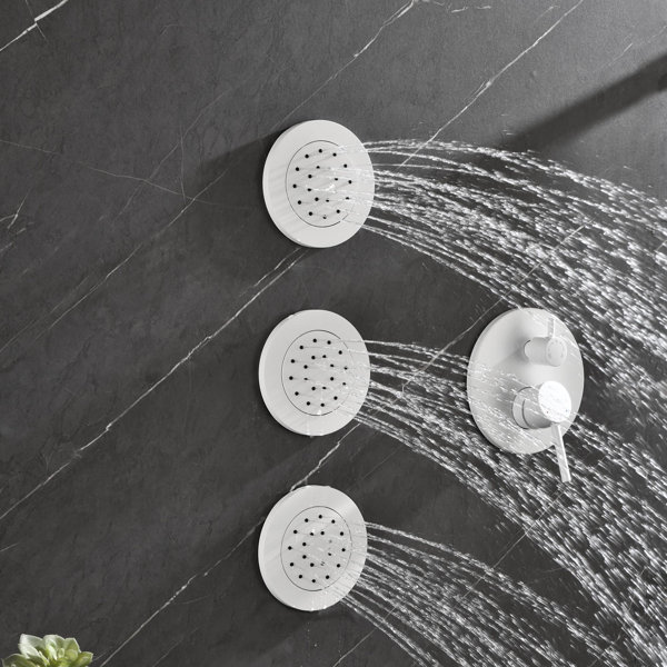 INLE Complete Shower System with Bodysprays | Wayfair