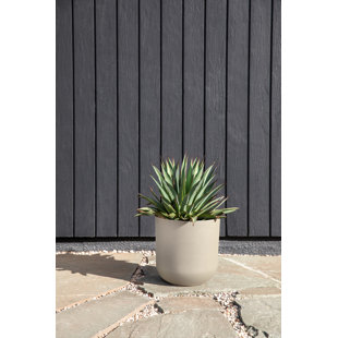 Medium Planters You'll Love | Wayfair