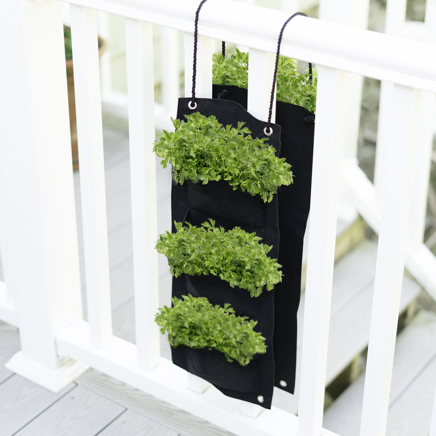 Touch of ECO Organic Parsley Hanging Planter Bag Grow Kit & Reviews ...
