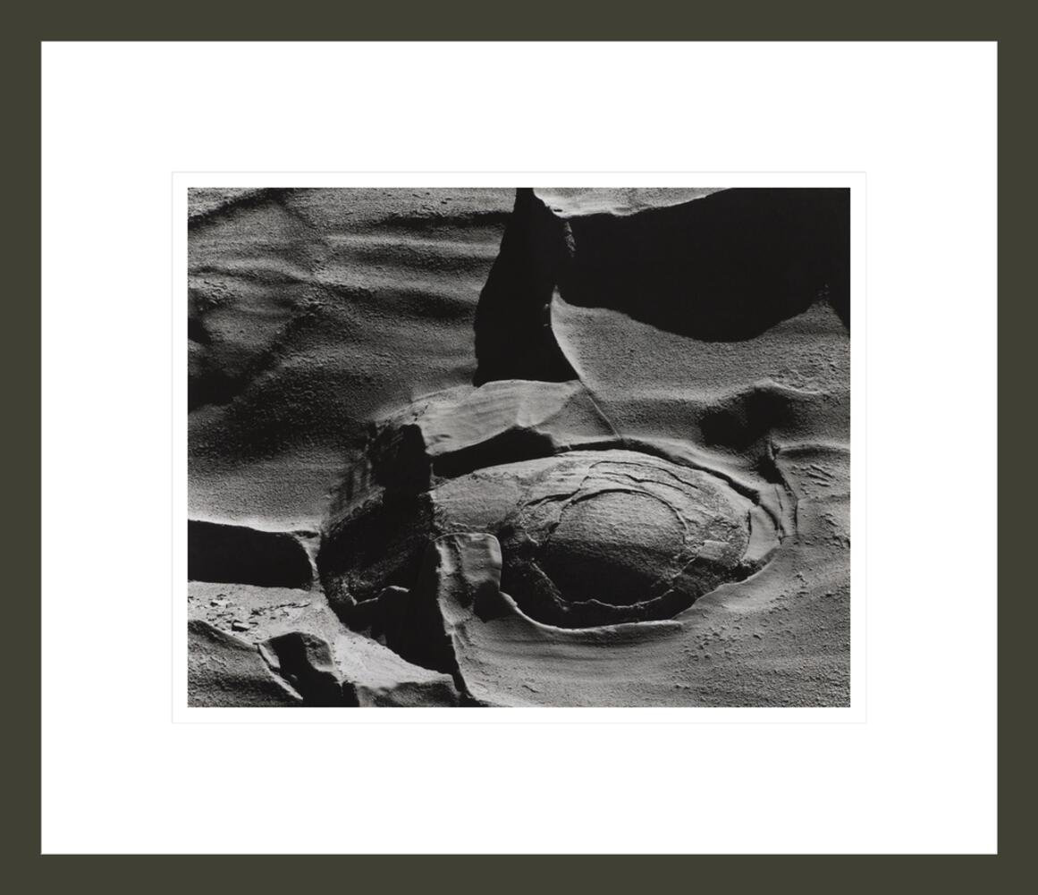 1000Museums Shore Acres State Park Oregon by Minor White -Framed Giclee ...