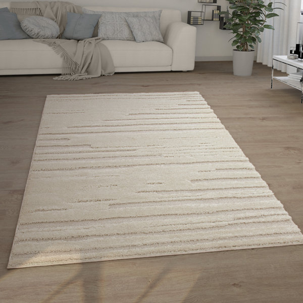 World Menagerie Rectangular Langsa Uniform Color Shag Area Rug ...