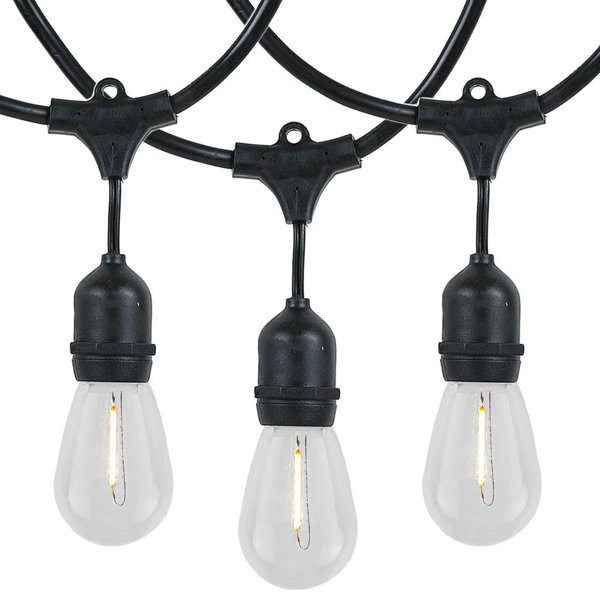 Symple Stuff Docia 48' Outdoor 24 - Bulb Standard String Light ...