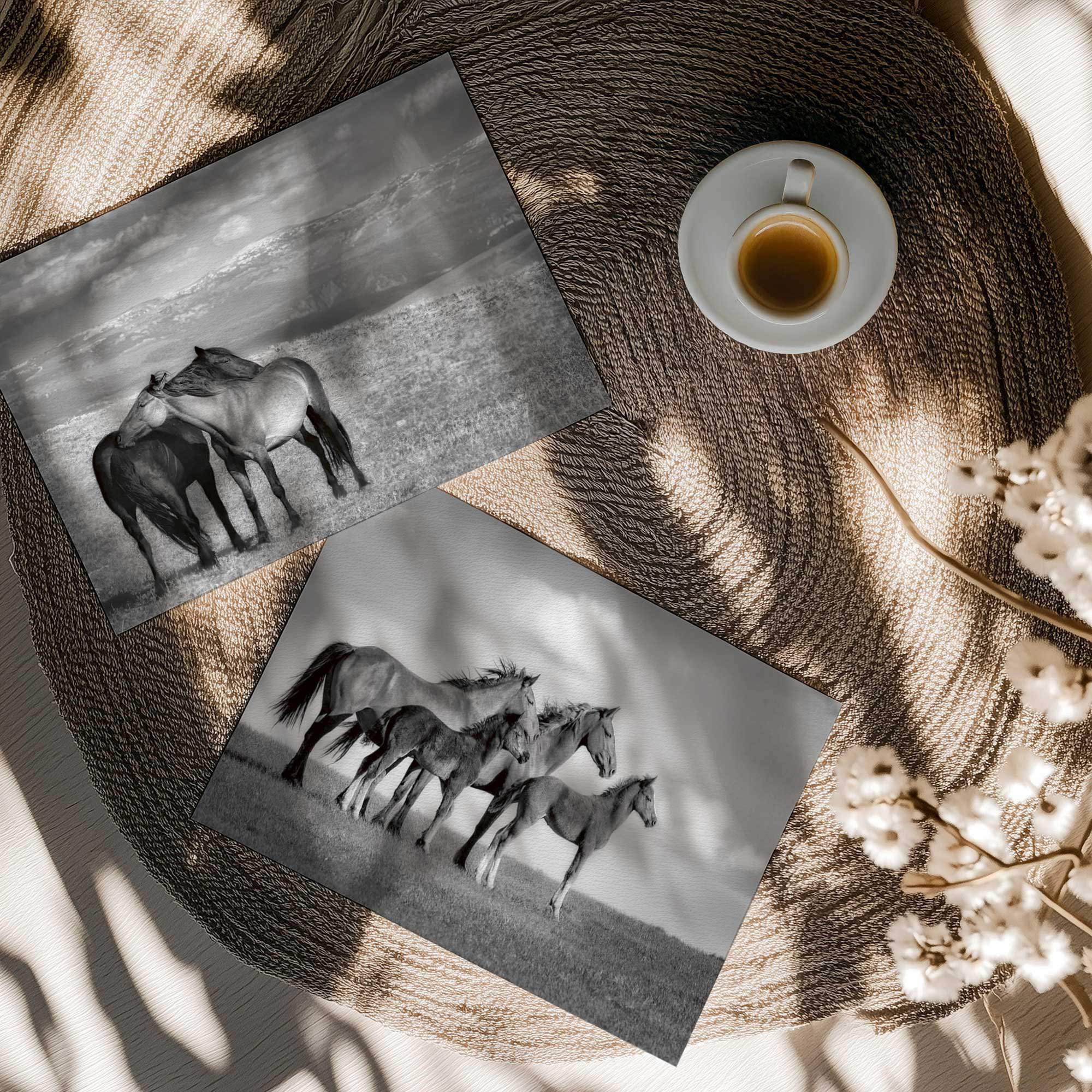 Ebern Designs Free Spirits Set of 2 Prints in a Frame | Wayfair