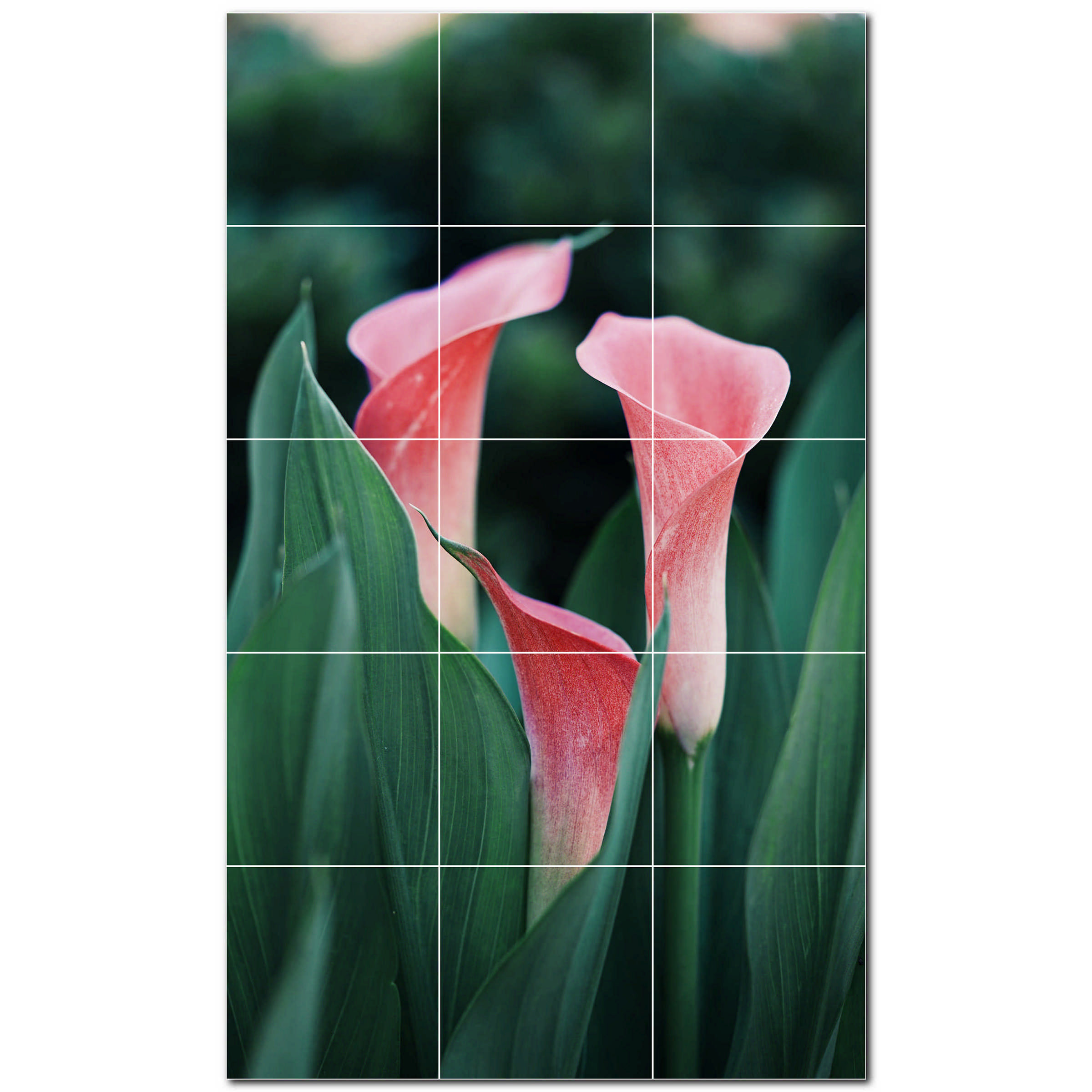Picture-Tiles.com 8'' x 8'' Satin Ceramic Decorative Mural | Wayfair