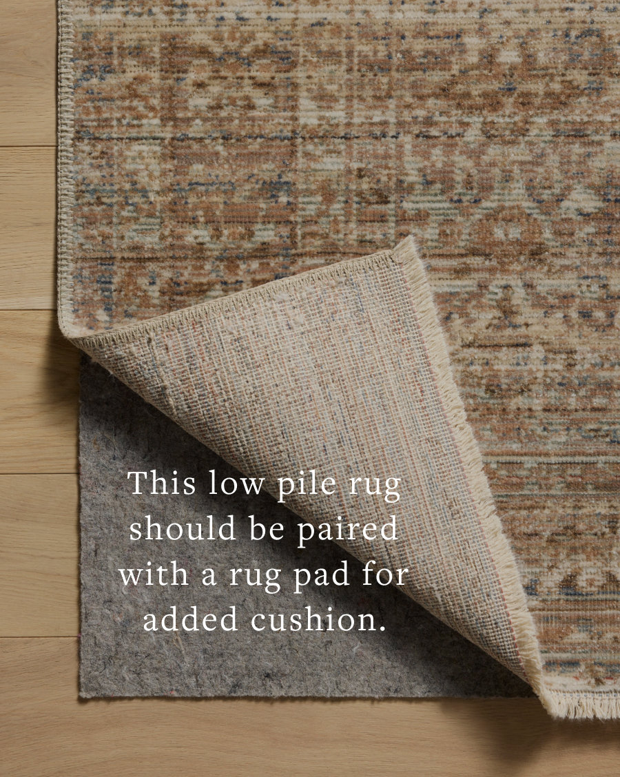 Amber Lewis x Loloi Molly Natural / Denim Area Rug & Reviews | Wayfair