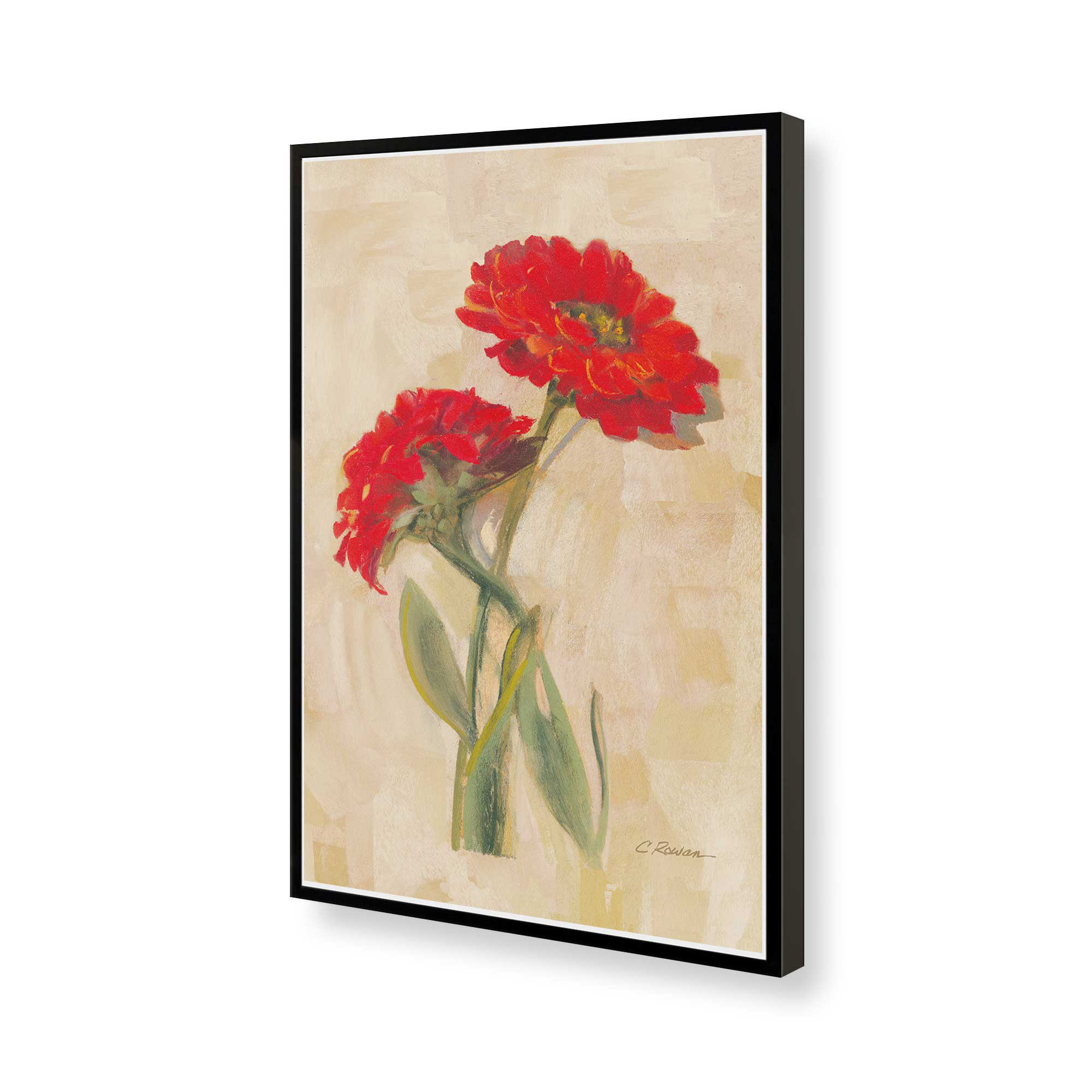 Ophelia & Co. Spicy Zinnias By Carol Rowan Canvas Art Print | Wayfair